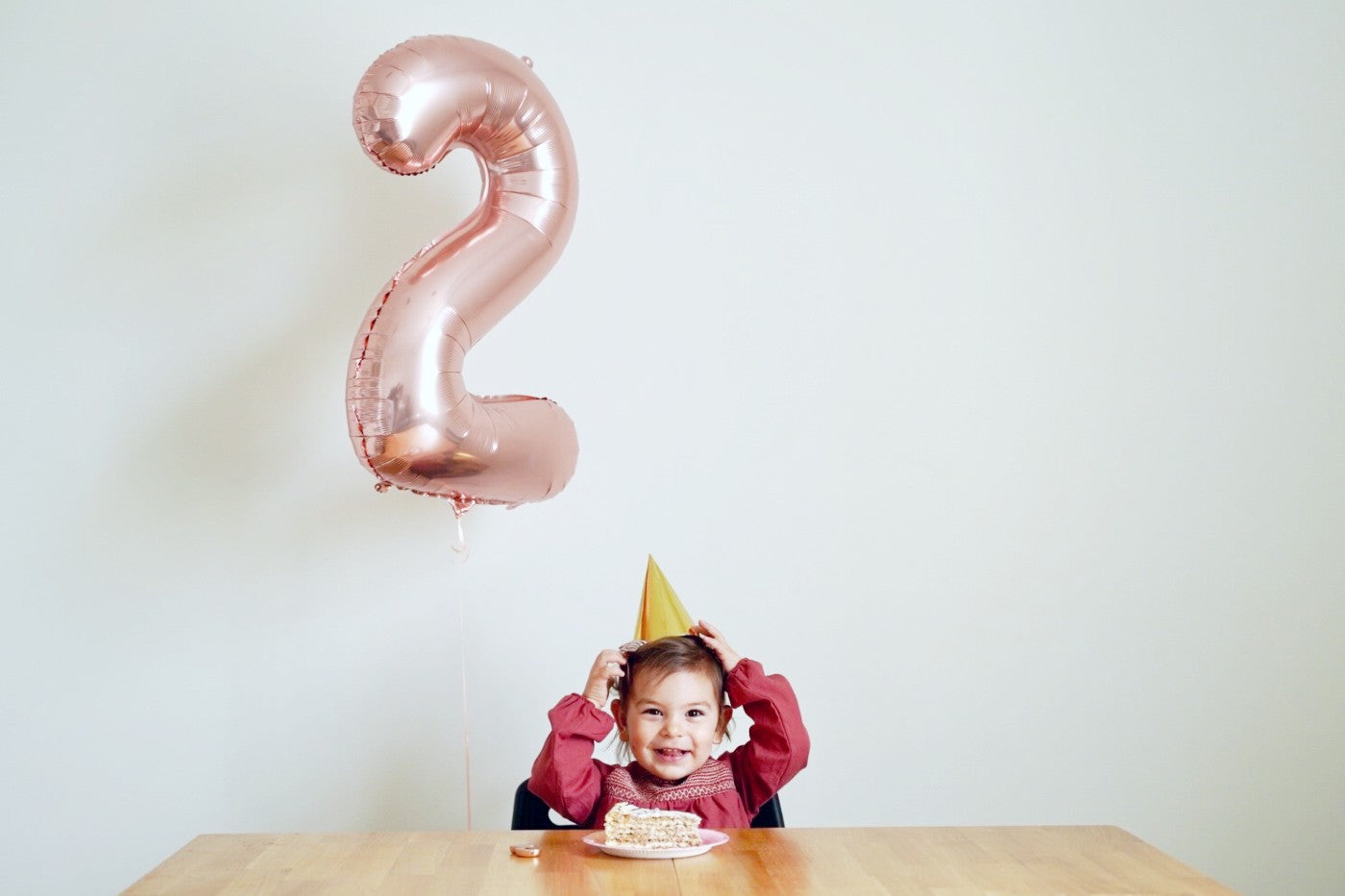 2 year old birthday store